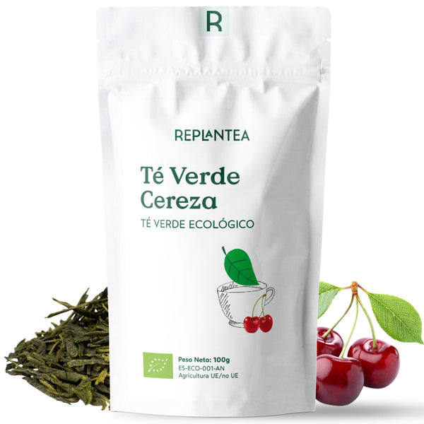 Té Verde o Matcha: Principales Diferencias y Cómo Elegir | REPLANTEA®